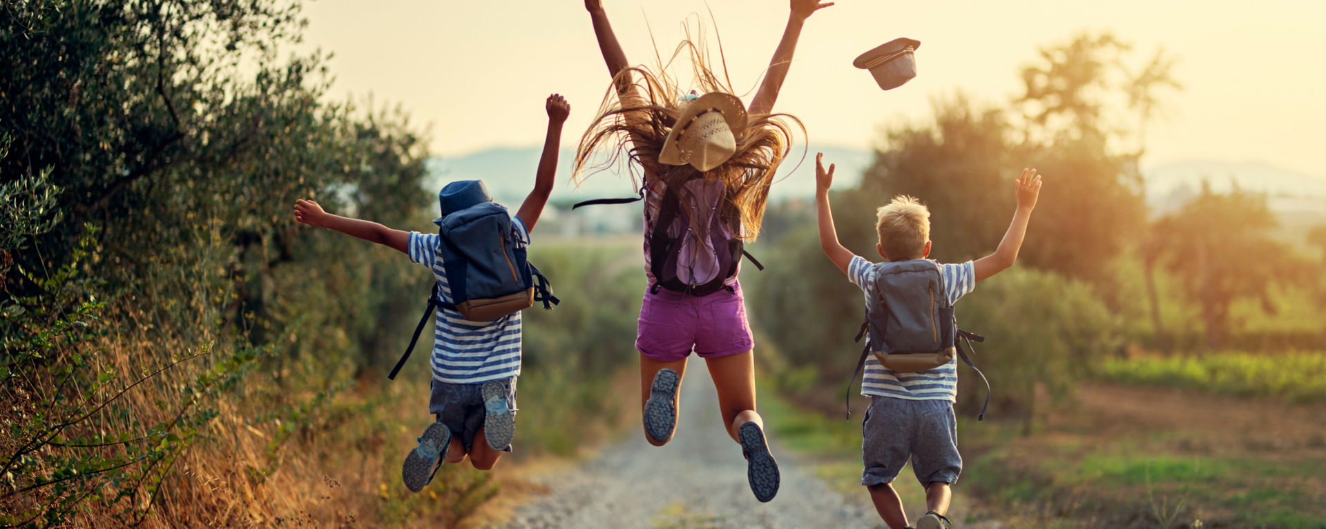 Timber Trails – Timber Trails